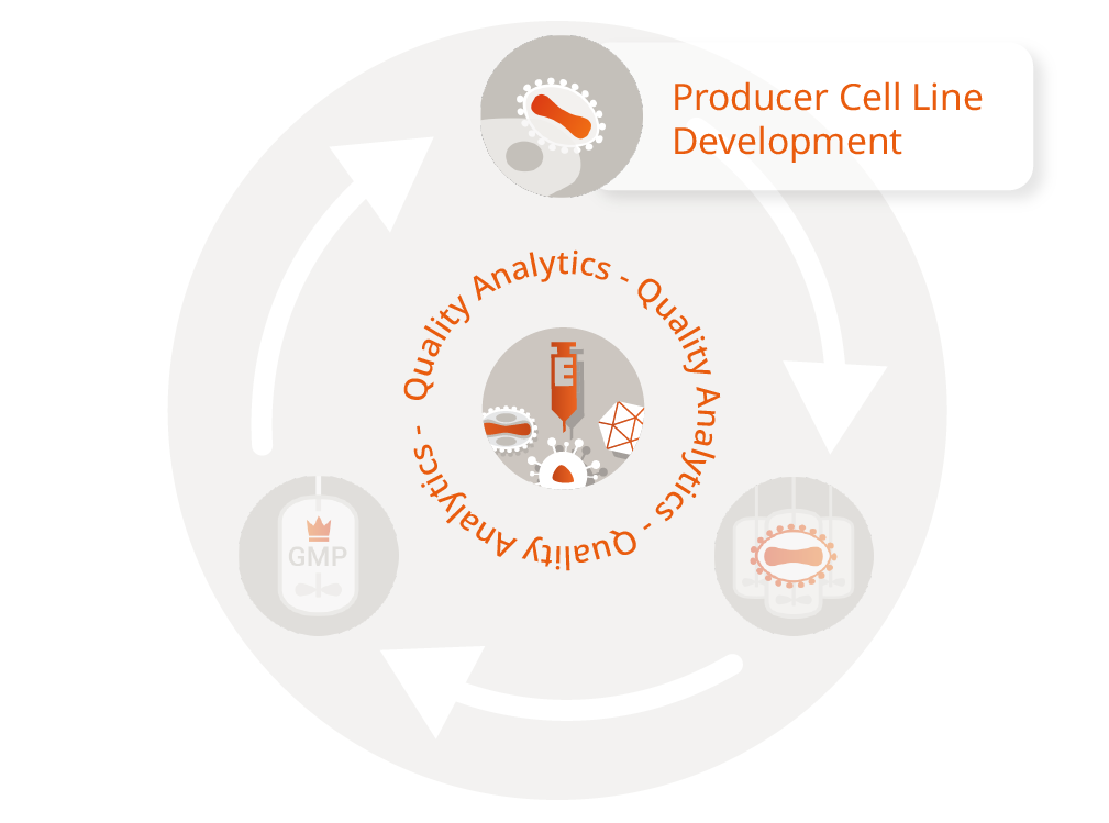 Producer Cell Line Development for Viral Vectors & Vaccines | ProBioGen AG